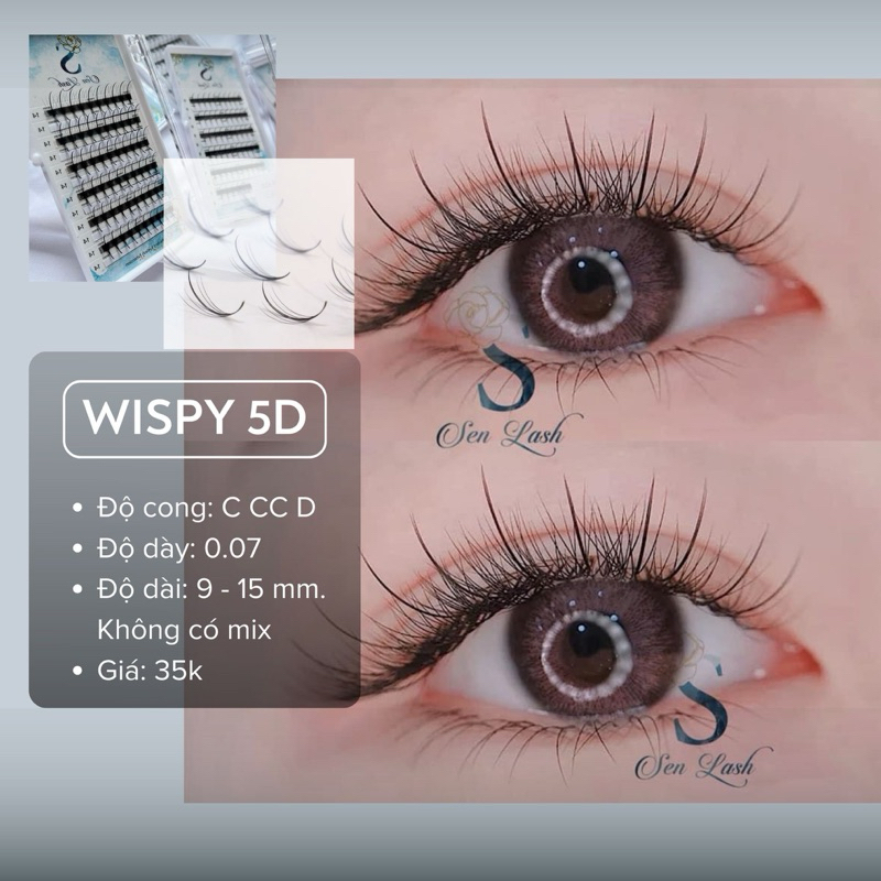 Mi Wispy 5D Senlash - Mi trụ mix fan 5D | Shopee Việt Nam