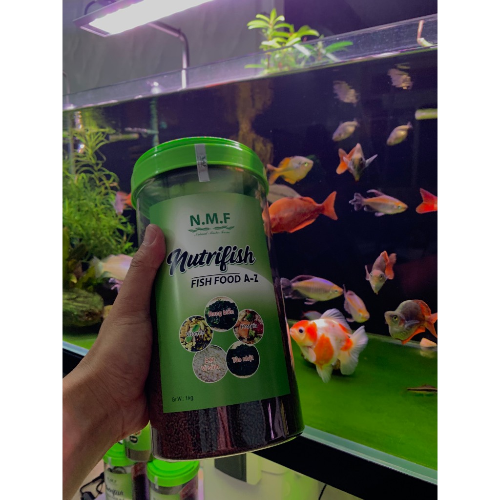 1 kg Thức ăn NutriFish cho cá vành, cá chép sư tử, cá cầu vồng....tặng kèm vật liệu xử lý nước ...