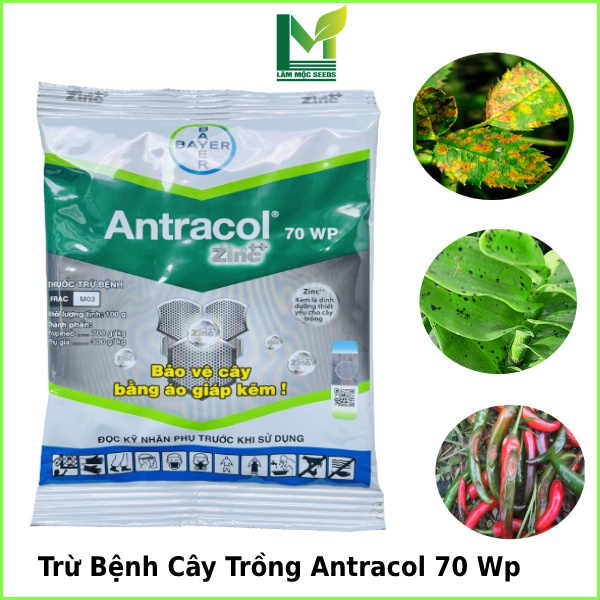Thuốc trừ nấm bệnh hoa hồng, hoa lan, cây kiểng, cây trồng Antracol ...