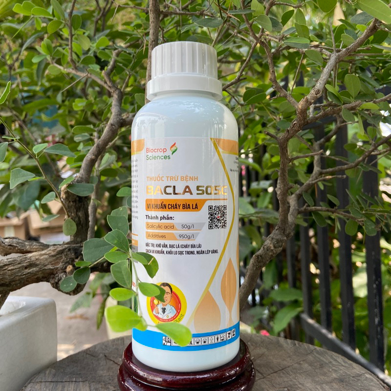 BACLA 50SC chai 300ml của BIOCROP quản lý vàng lá cháy bìa lá khô vằn ...