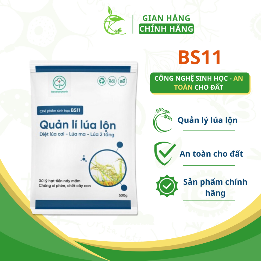 Chế phẩm sinh học BS11 xử lý lúa lộn, lúa cơi, lúa ma, lúa 2 tầng ...