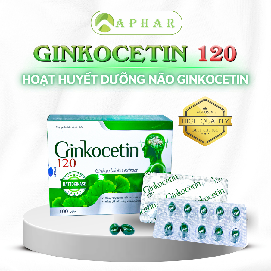 HOẠT HUYẾT DƯỠNG NÃO GINKOCETIN 120 AN DƯỢC 100 VIÊN/HỘP | Shopee Việt Nam