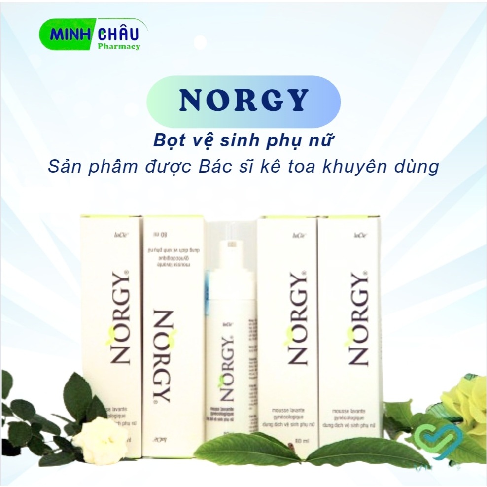 (Chính hãng) Bọt vệ sinh phụ nữ NORGY 80ml | Shopee Việt Nam