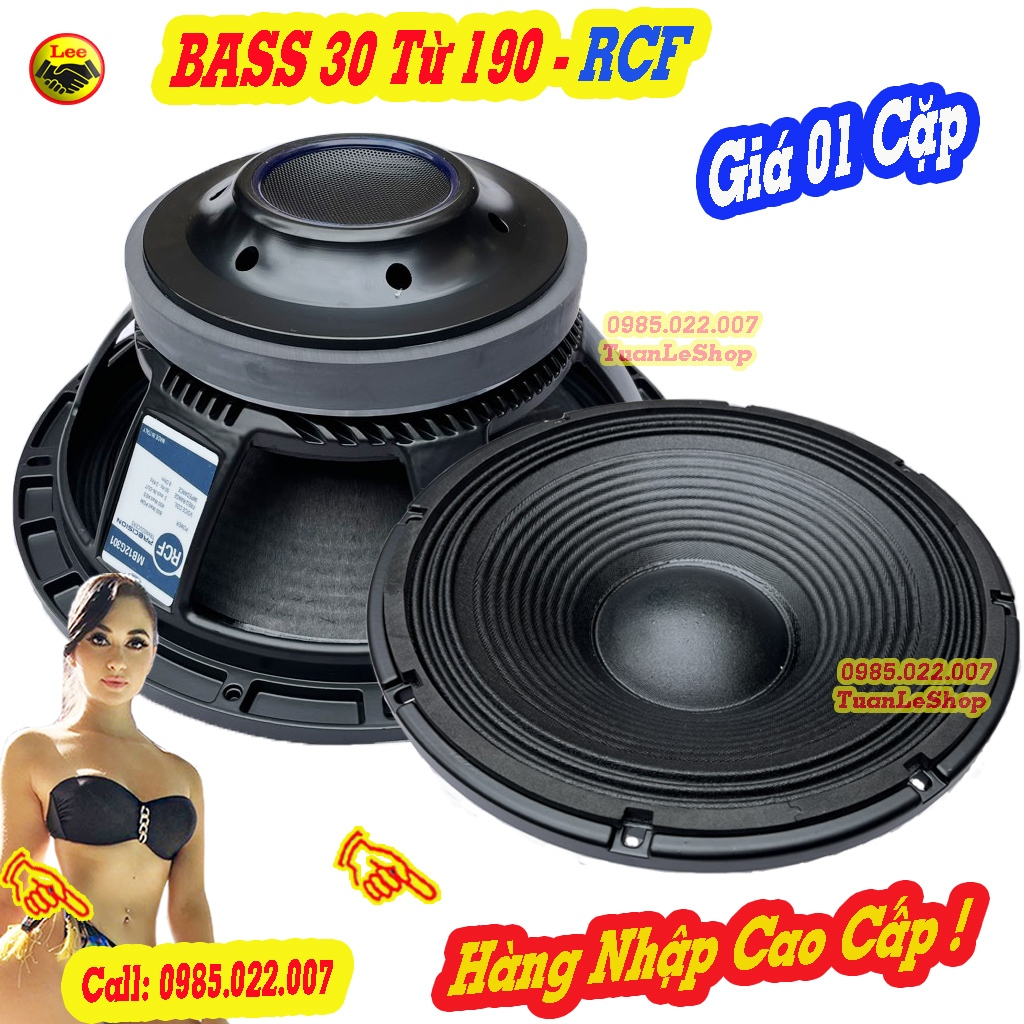 02 CỦ BASS 30 RCF NHẬP KHẨU - GIÁ 02 CHIẾC LOA BASS 30 TỪ 190 COIL 75MM ...