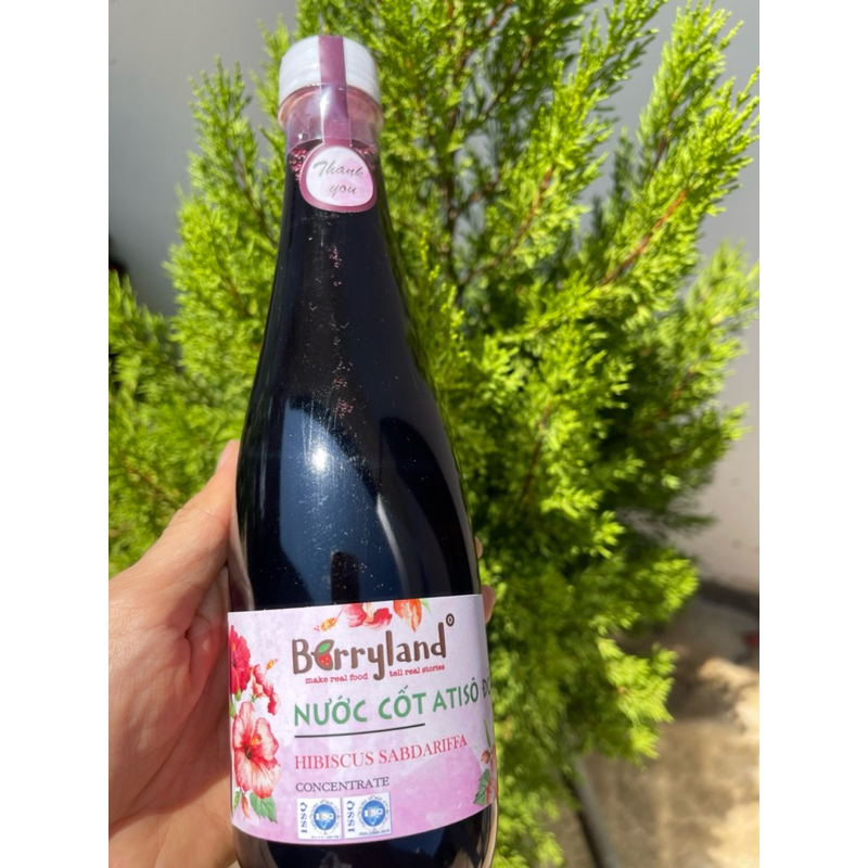 Nước cốt hoa atiso đỏ 500ml red archichoke siro syrup TÙY CHỌN | Shopee ...