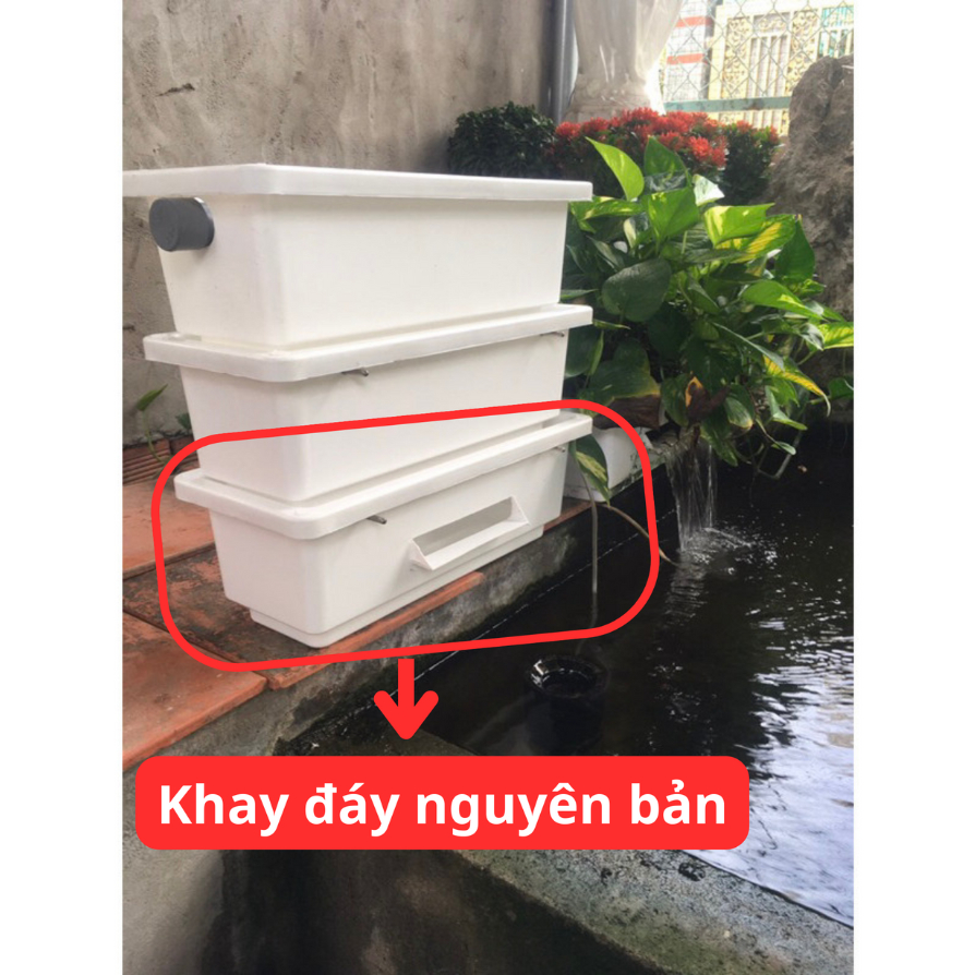 Lọc hồ cá koi Bakki Shower Nhựa (1 khay) | Shopee Việt Nam