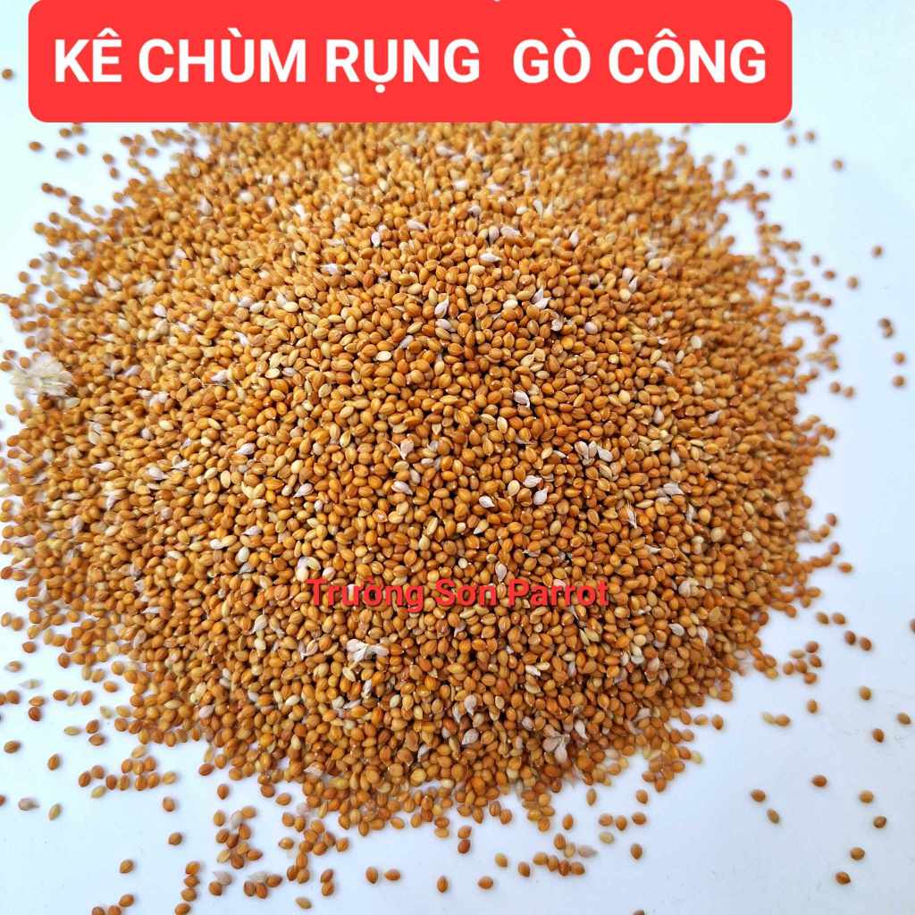 500g/1kg Hạt kê chùm rụng Gò Công | Shopee Việt Nam