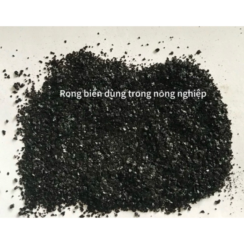 Phân Rong Biển đen -seeweed etract power CAO CẤP | Shopee Việt Nam