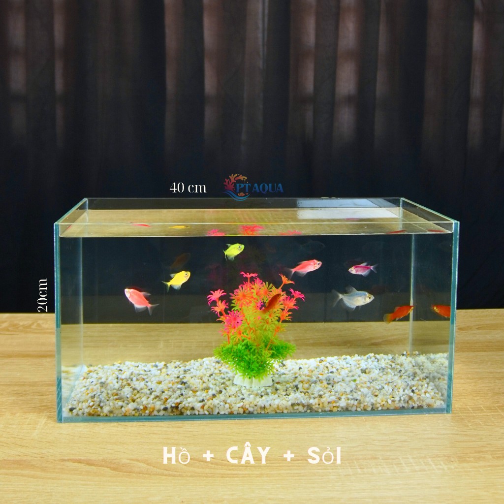 Bể cá mini để bàn 40x20x20cm nhiều mẫu phù hợp nuôi cá cảnh mini nhỏ ...