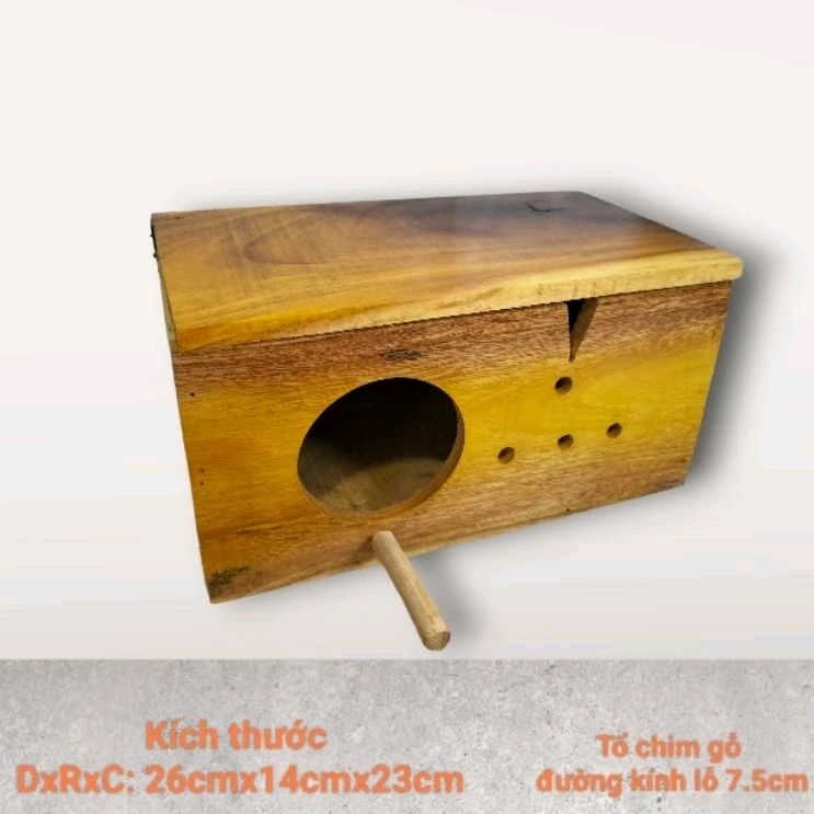 Tổ chim gỗ chim yến phụng, lovebird, chim sâu, các dòng chim nhỏ kích ...