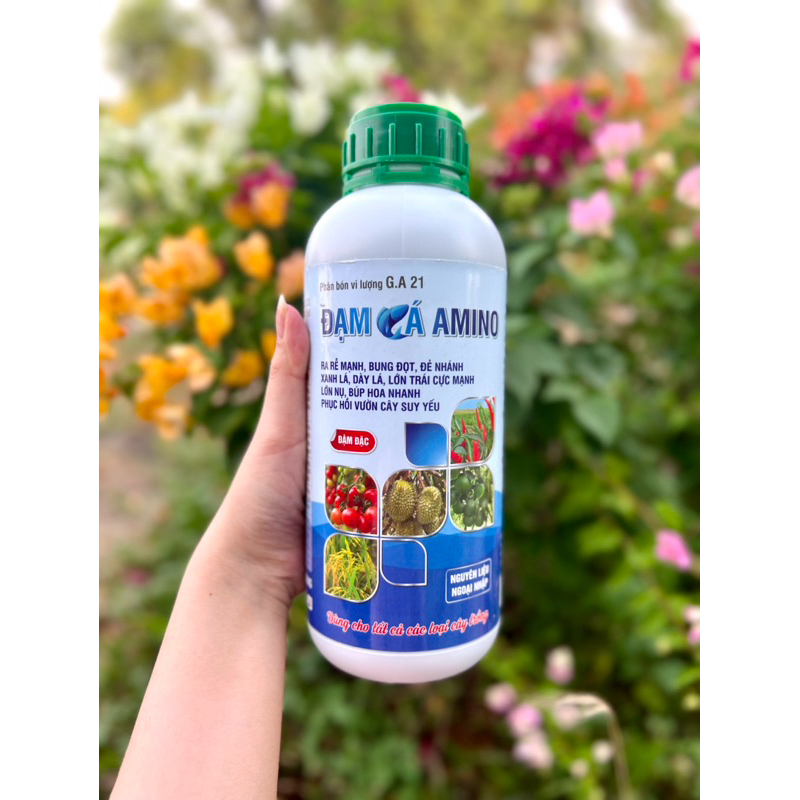 ĐẠM CÁ AMINO 1 LÍT RA RỄ MẠNH, BUNG ĐỌT, ĐỂ NHÁNH XANH LÁ, DÀY LÁ, LỚN TRÁI CỰC MẠNH LỚN NỤ ...