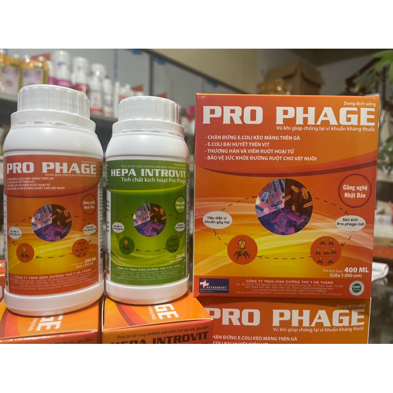 Pro Phage - Thực khuẩn thể - ngừa ecoli, thương hàn, viêm ruột | Shopee ...