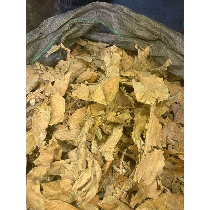 500GR LÁ HEN KHÔ ( CÂY BỒNG BỒNG) | Shopee Việt Nam