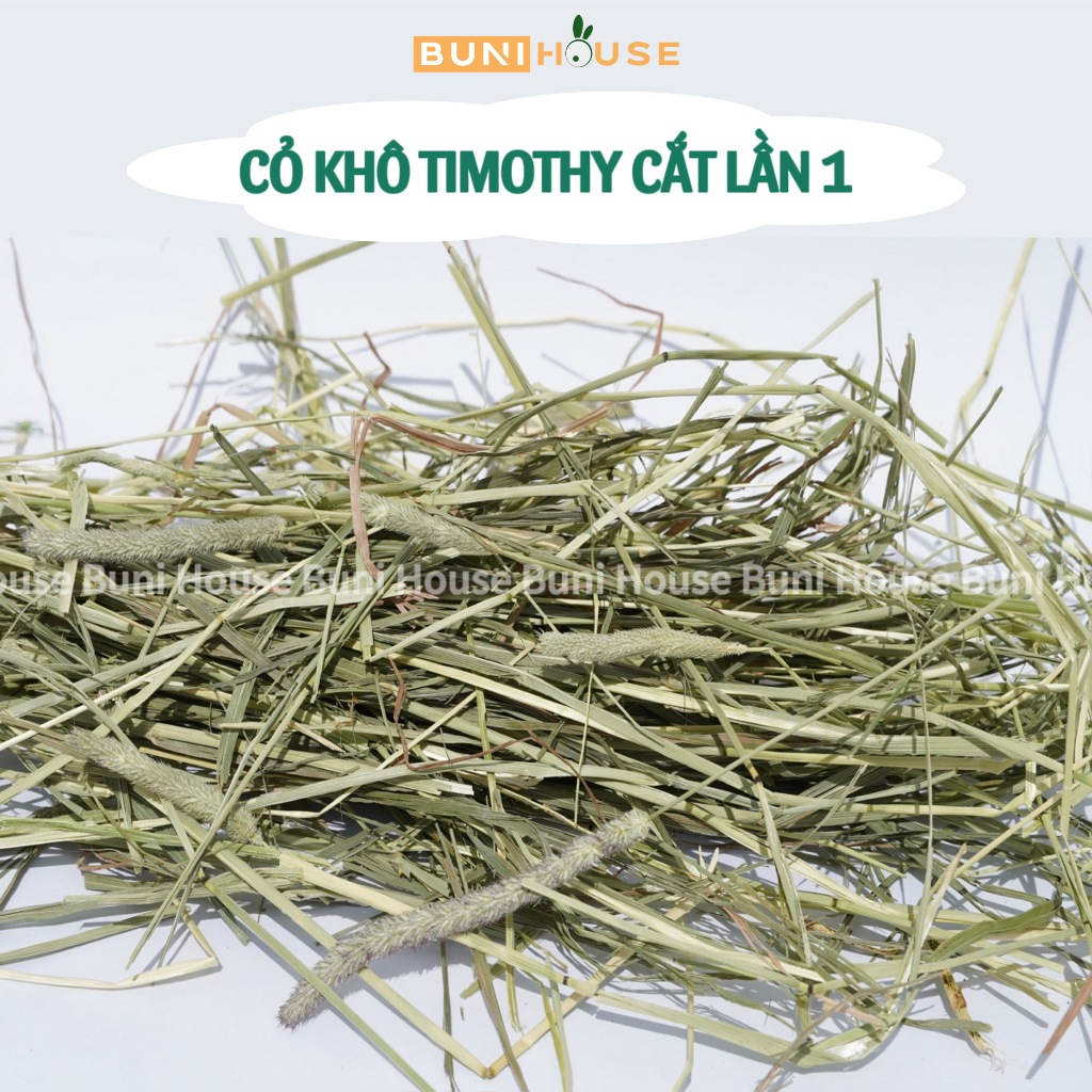 Cỏ Alfalfa, Timothy dành cho Thỏ, Bọ ú, Chinchilla - Cỏ khô Alfalfa ...