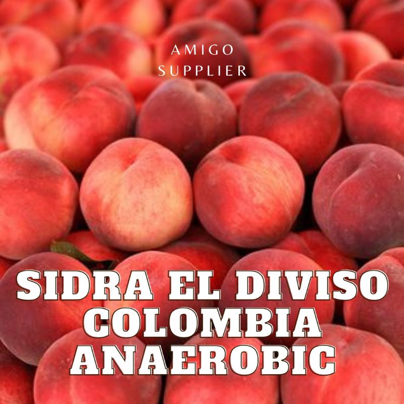 [SPECIALTY] Cà phê rang Sidra Finca el Diviso Anaerobic Huila Colombia ...