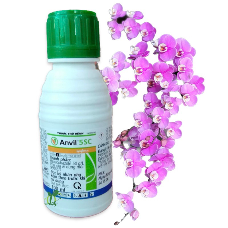 Anvil 5SC Chính Hãng Syngenta – Đặc trị bệnh Rỉ Sắt, Thán Thư cho cây ...