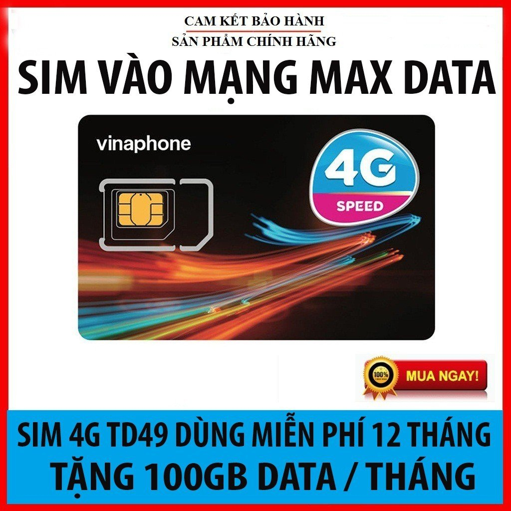 Sim Vinaphone 4G Trọn Gói cả năm TD49 12 Tháng Tặng 100Gb 1 Tháng Miễn Phí trọn gói 1 năm dùng ...