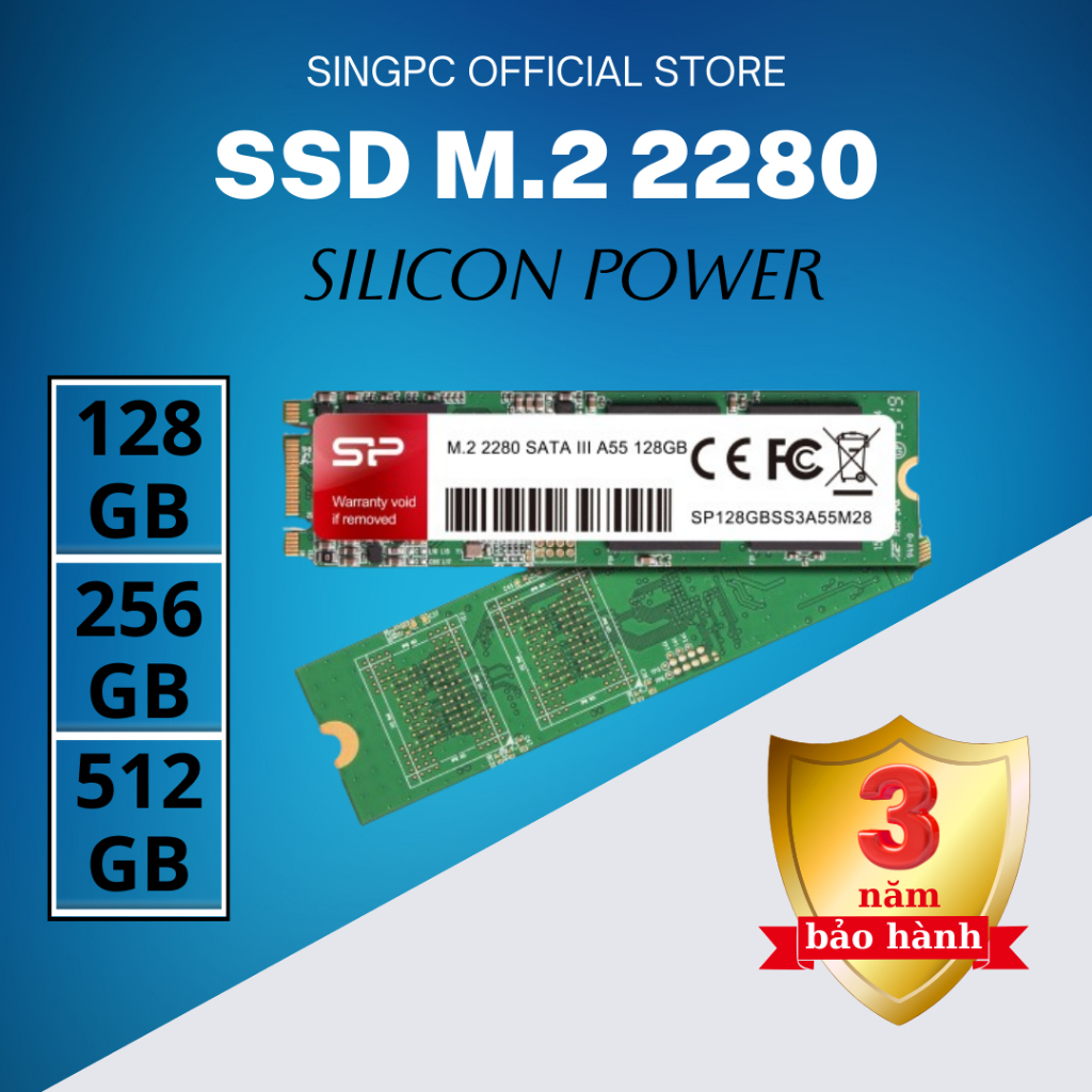 Ổ cứng SSD Silicon Power M2 SATA A55 128GB/256GB/512GB/1TB I Bảo hàng ...