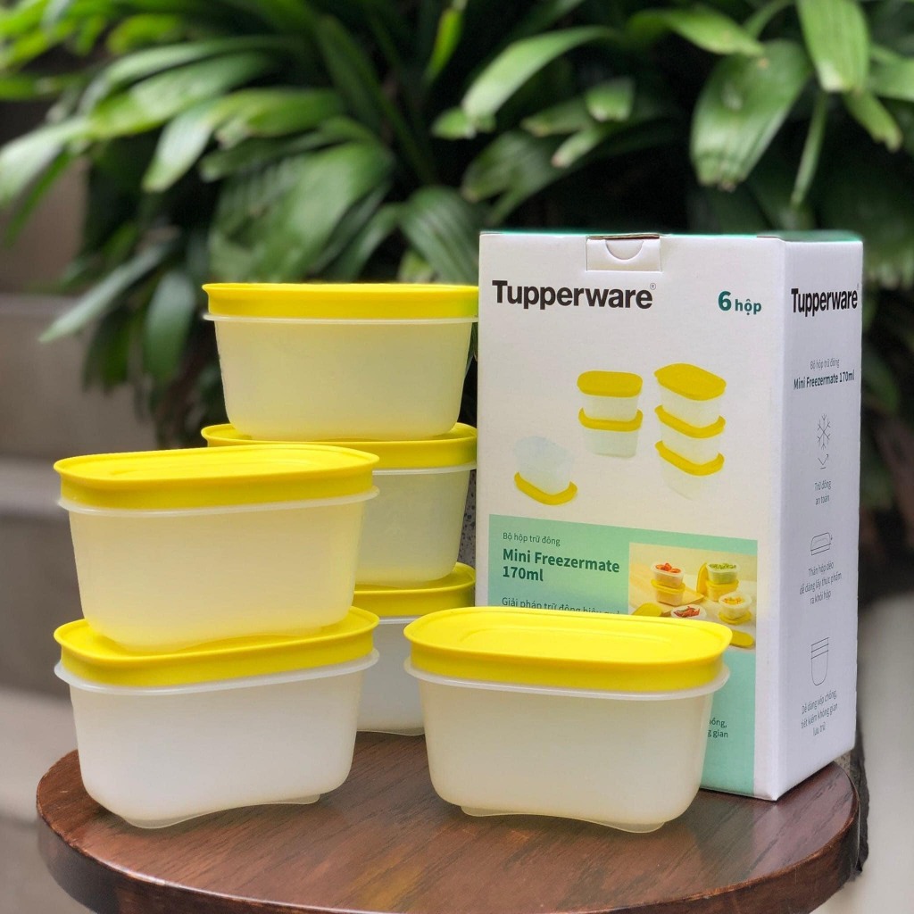 Bộ hộp Trữ đông Mini Tupperware Freezermate Gen II 170ml (6 ...