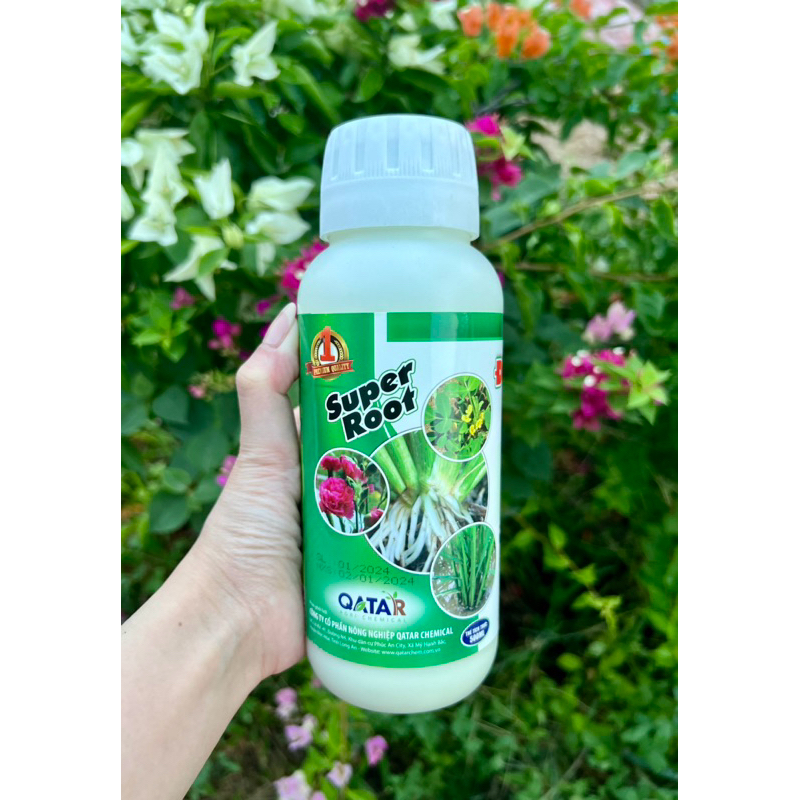 SUPER ROOT 500ML ĐẺ NHÁNH RA RỄ SIÊU NỞ BỤI ĐẺ NHIỀU NHÁNH RA RỄ CỰC ...