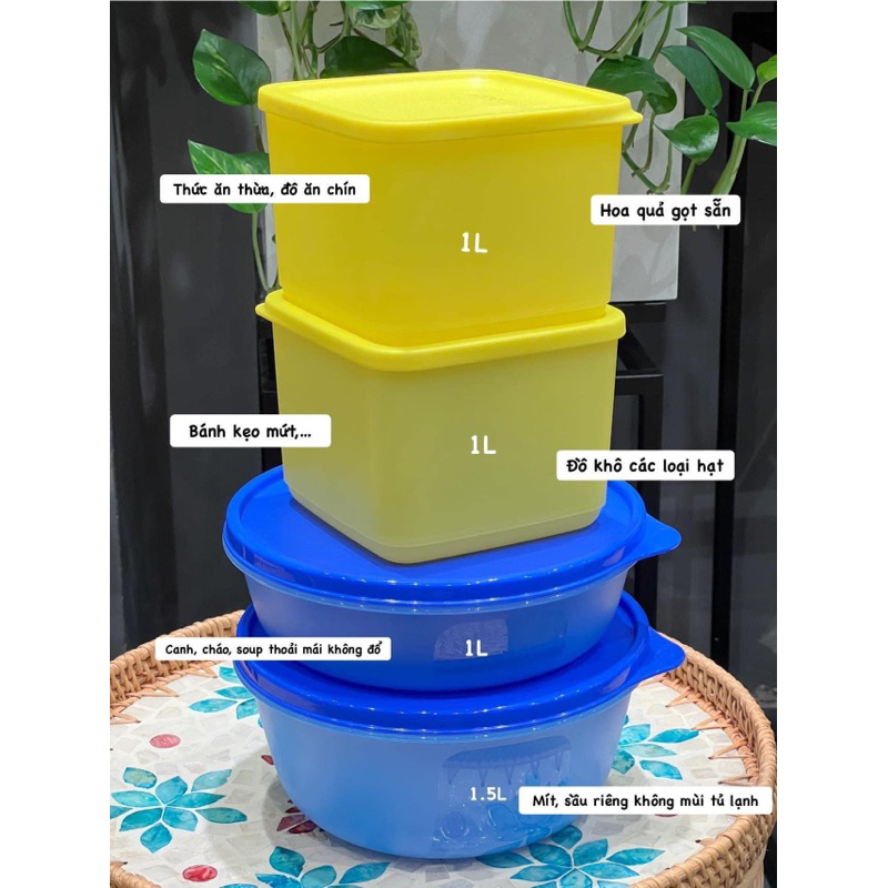 Combo 4 hộp vuông tròn chính hãng Tupperware | Shopee Việt Nam