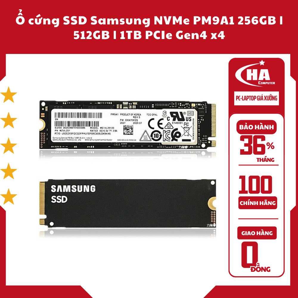 Ổ cứng SSD Samsung NVMe PM9A1 256GB | 512GB | 1TB PCIe Gen4 x4 - Bảo ...