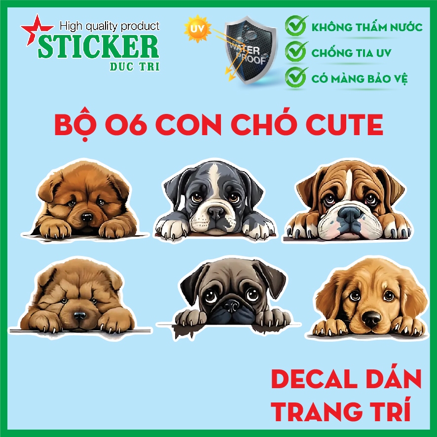 MIẾNG DÁN HÌNH CHÓ CUTE, CAPYBARA , CÔNG CHÚA, CORGI, GẤU HỒNG, LOTSO ...