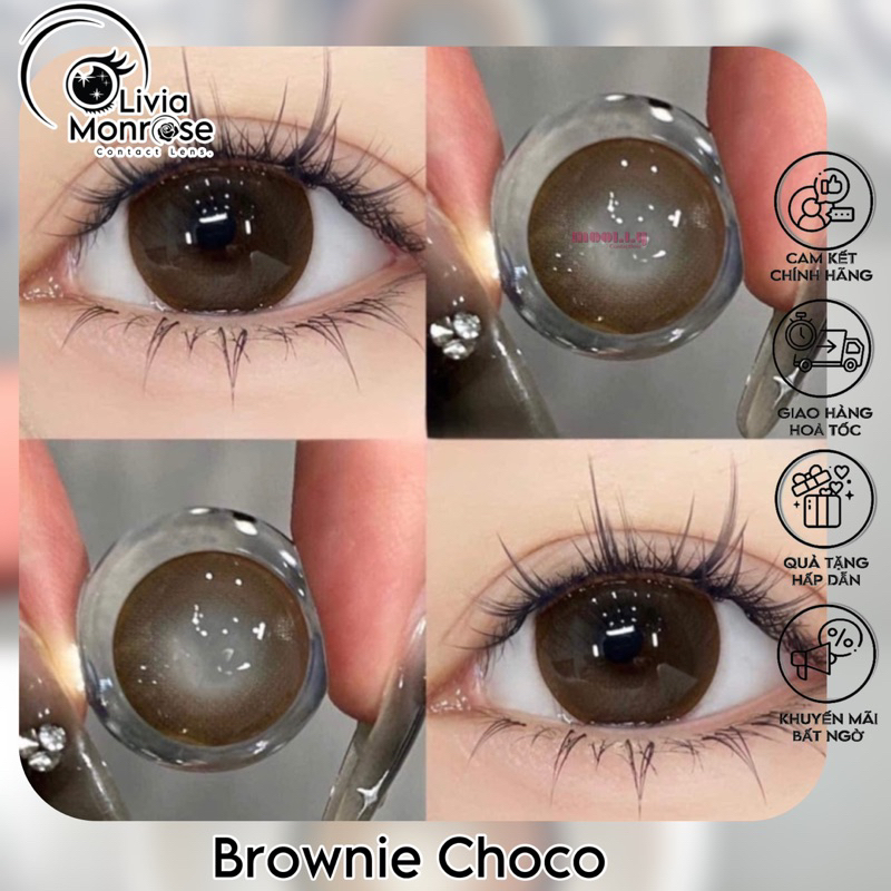 BROWNIE CHOCO ( Màu lens tự nhiên giãn tròng) - Có tặng khay đựng lens ...