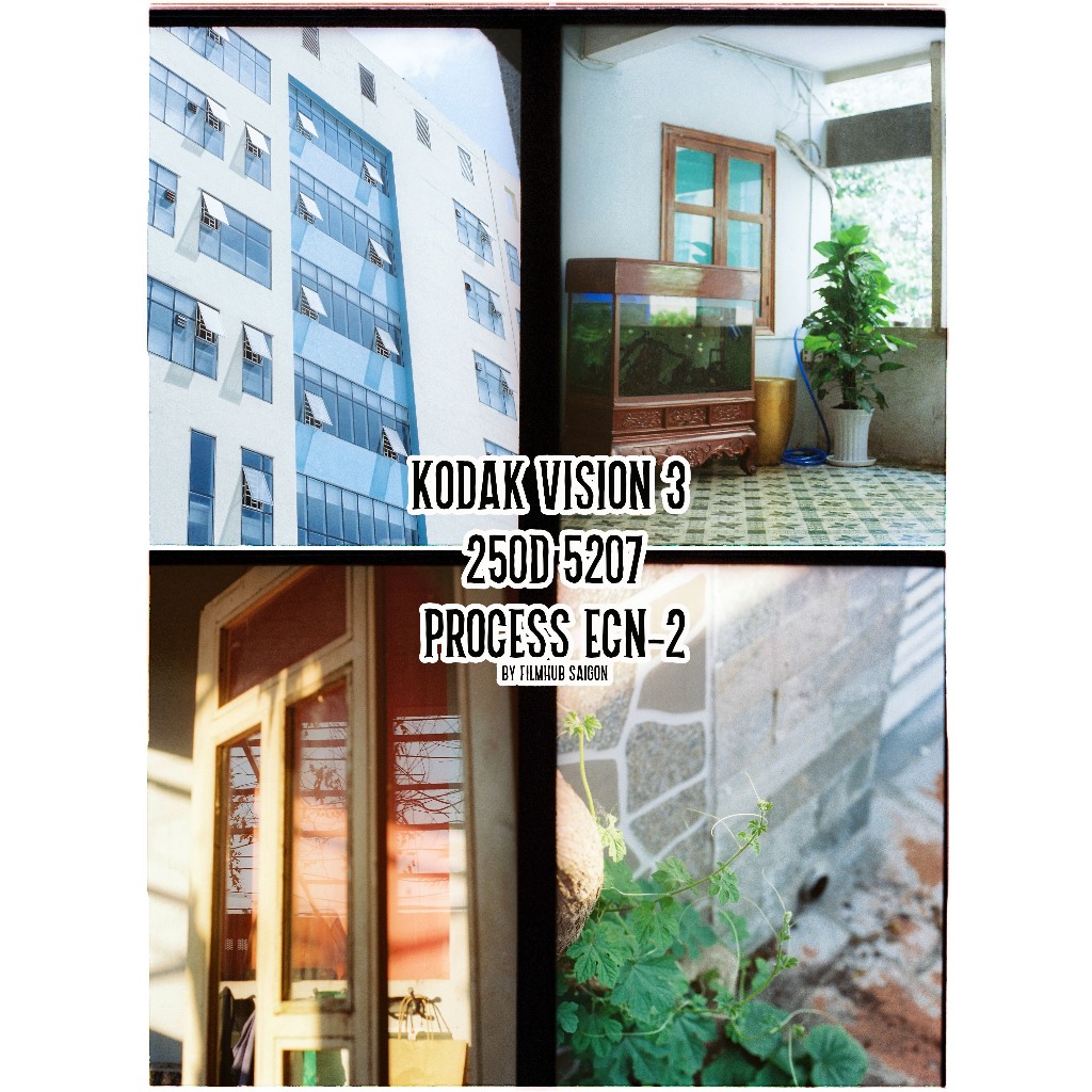 [GIAO HỎA TỐC]Film Kodak Vision 3 50D 200T 250D 500T 100D 320T 400D ...