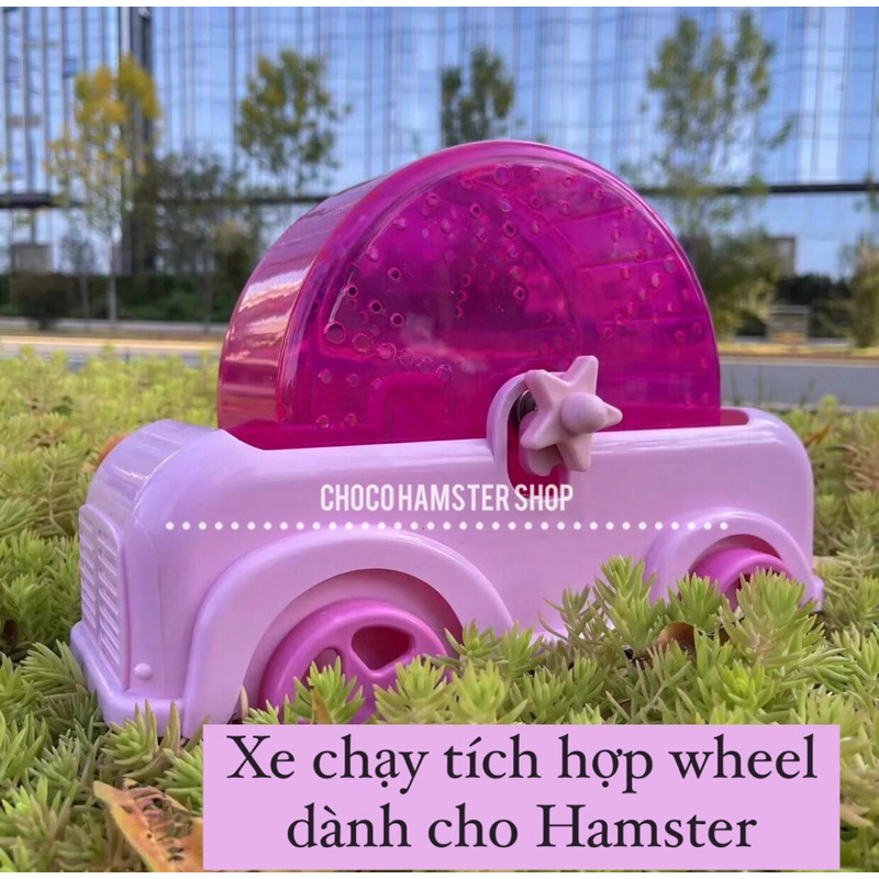 Xe ô tô chạy tích hợp wheel dành cho Hamster ham vận động | Shopee Việt Nam