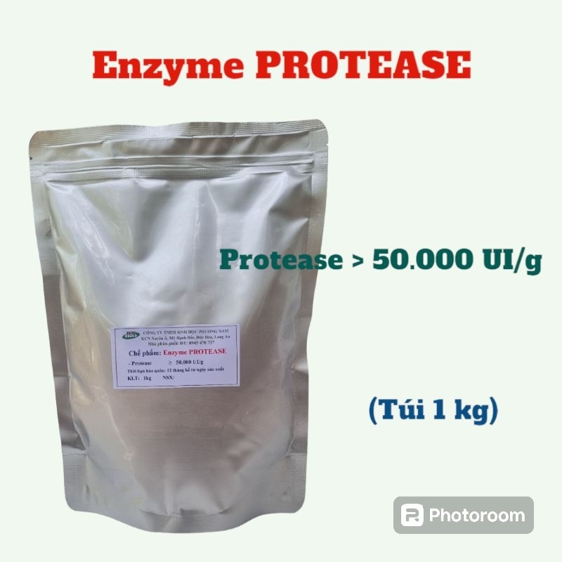 Enzyme Protease| Chuyên phân giải protein| Sản phẩm phục vụ trong chăn ...