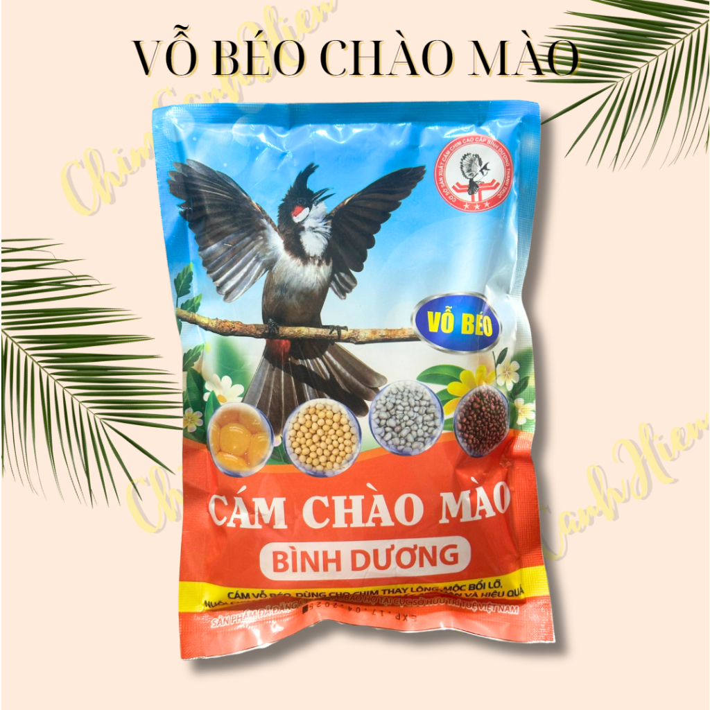 Cám Chim Chào Mào Vỗ Béo Bình Dương Cho Chim Thay Lông, Mộc Bổi Lỡ An ...