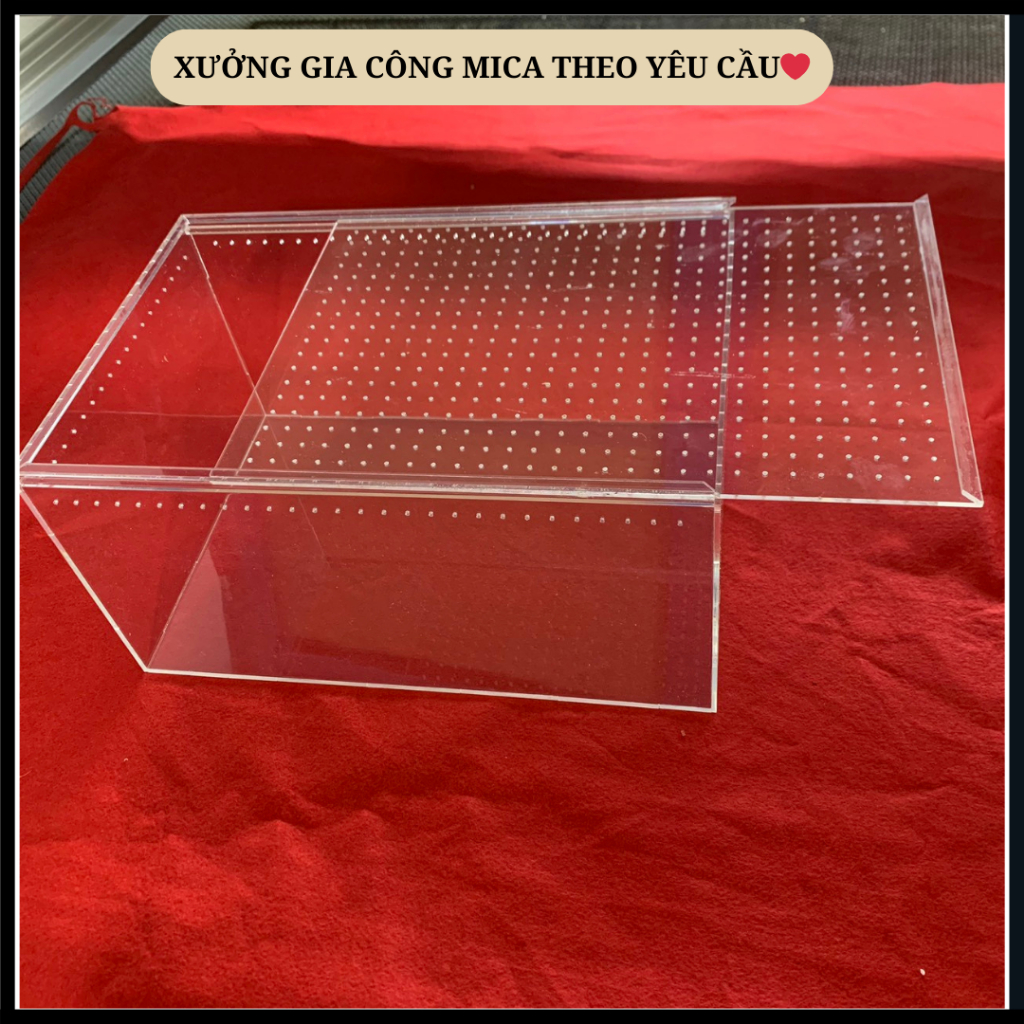 Chuồng mica nuôi côn trùng- tank mica trong nuôi giáp xác, bò sát ...