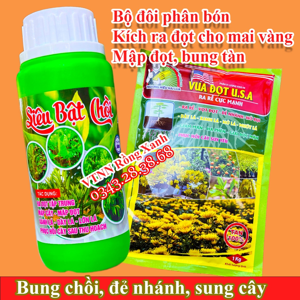 Bộ đôi phân bón kích ra đọt, bung chồi, đẻ nhánh, bung tàn xum xuê cho ...