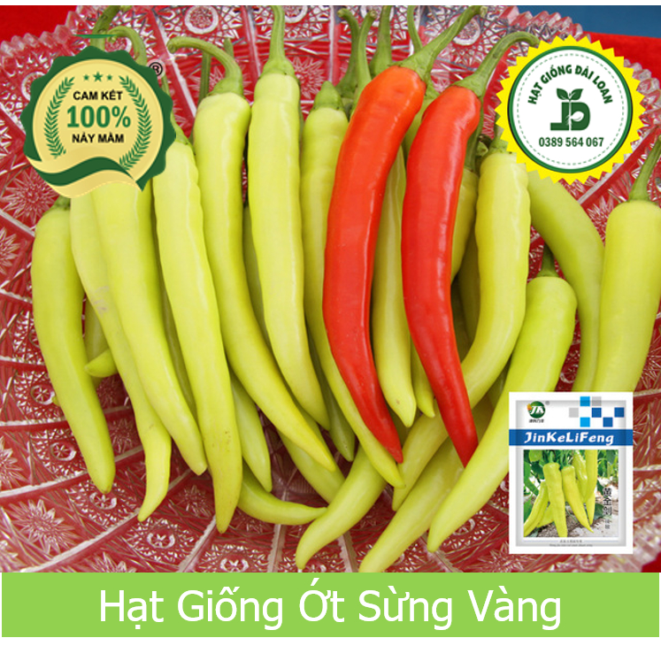Hạt giống ớt sừng vàng, ớt cay nhập khẩu Đài Loan nguyên gói 100 hạt ...