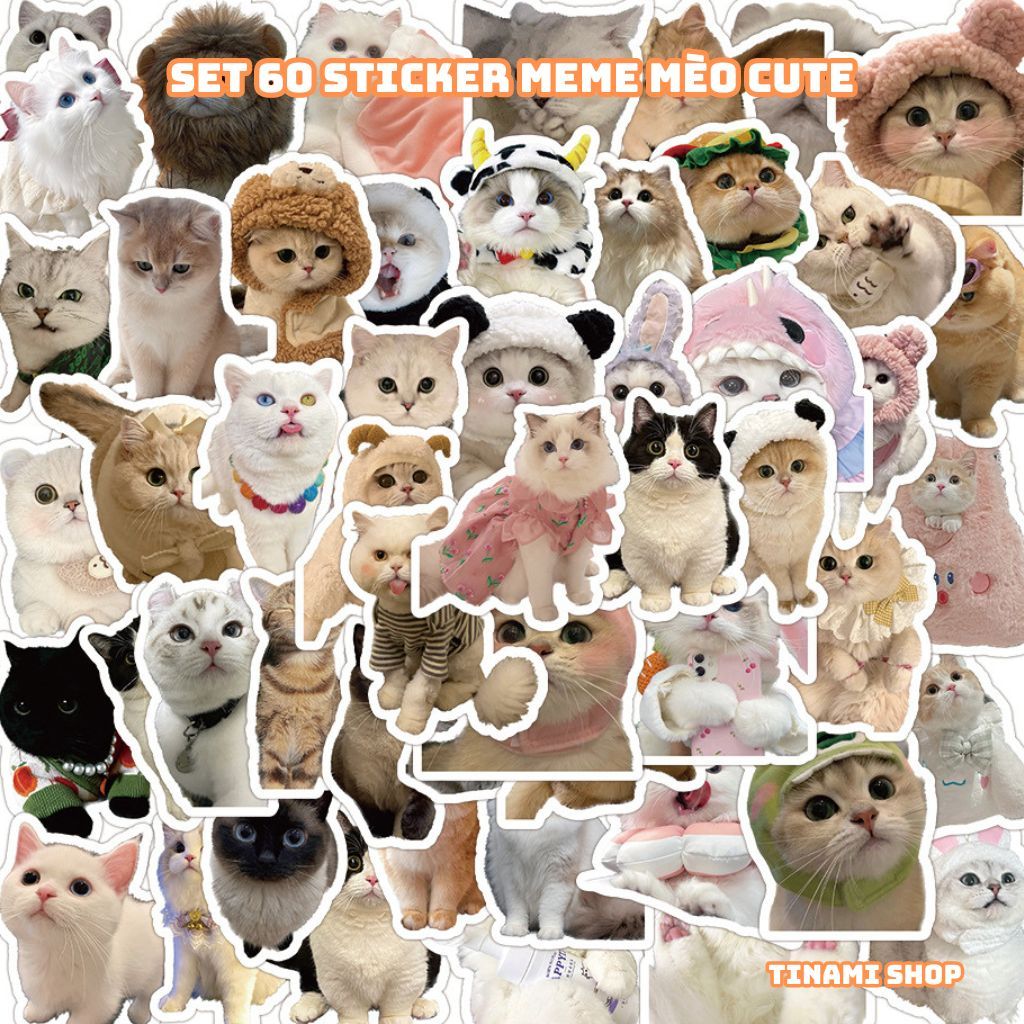 Set 60 sticker meme mèo cute dễ thương hình dán meme những chú mèo xinh ...