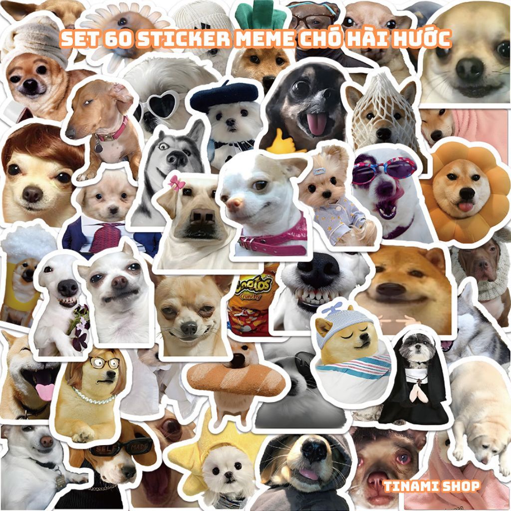 Bộ 60 sticker meme chó hài hước vui nhộn 60 hình dán không trùng nhau ...