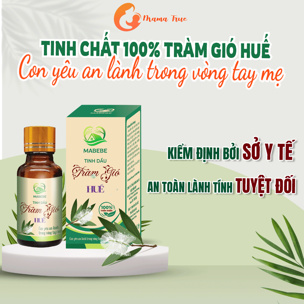 Tinh dầu Tràm Gió Huế Mabebe- Giúp kháng khuẩn và phòng virus, giảm ...