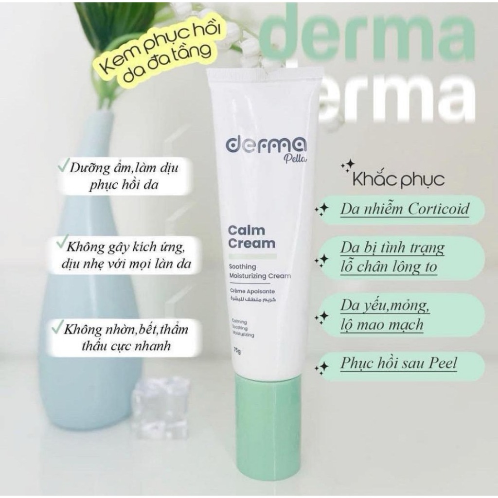 Kem Phục Hồi Đa Tầng Derma Calm Cream Của Jordan tuýp 75g | Shopee Việt Nam