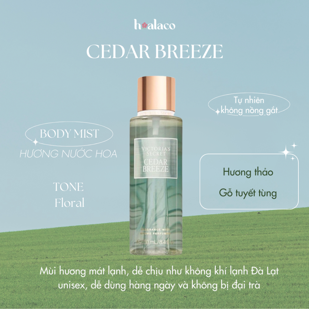 XỊT THƠM TOÀN THÂN BODY MIST CEDAR BREEZE - VICTORIA'S SECERT | Shopee Việt Nam