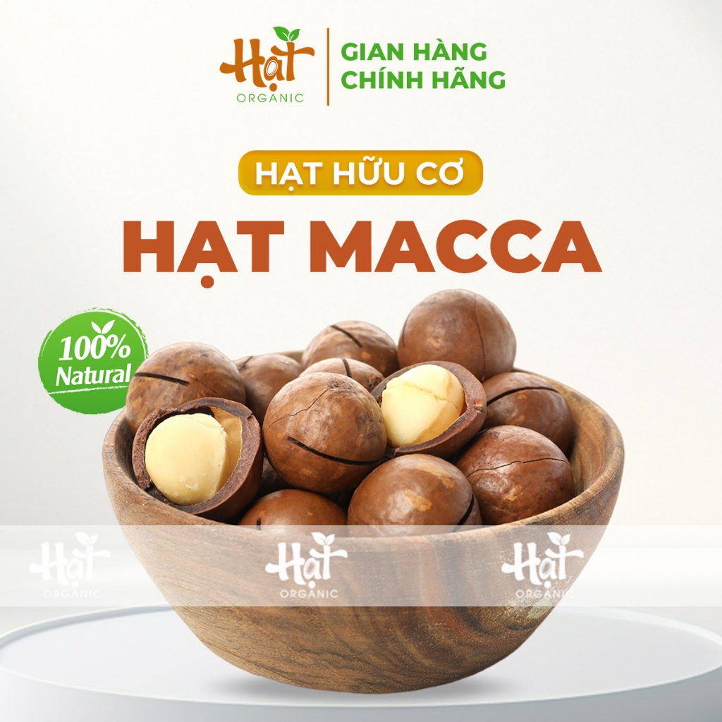 HẠT MACCA NỨT VỎ SIZE LỚN - NẤU SỮA HẠT, LÀM ĐỒ ĂN - ĐÓNG GÓI CHÂN ...