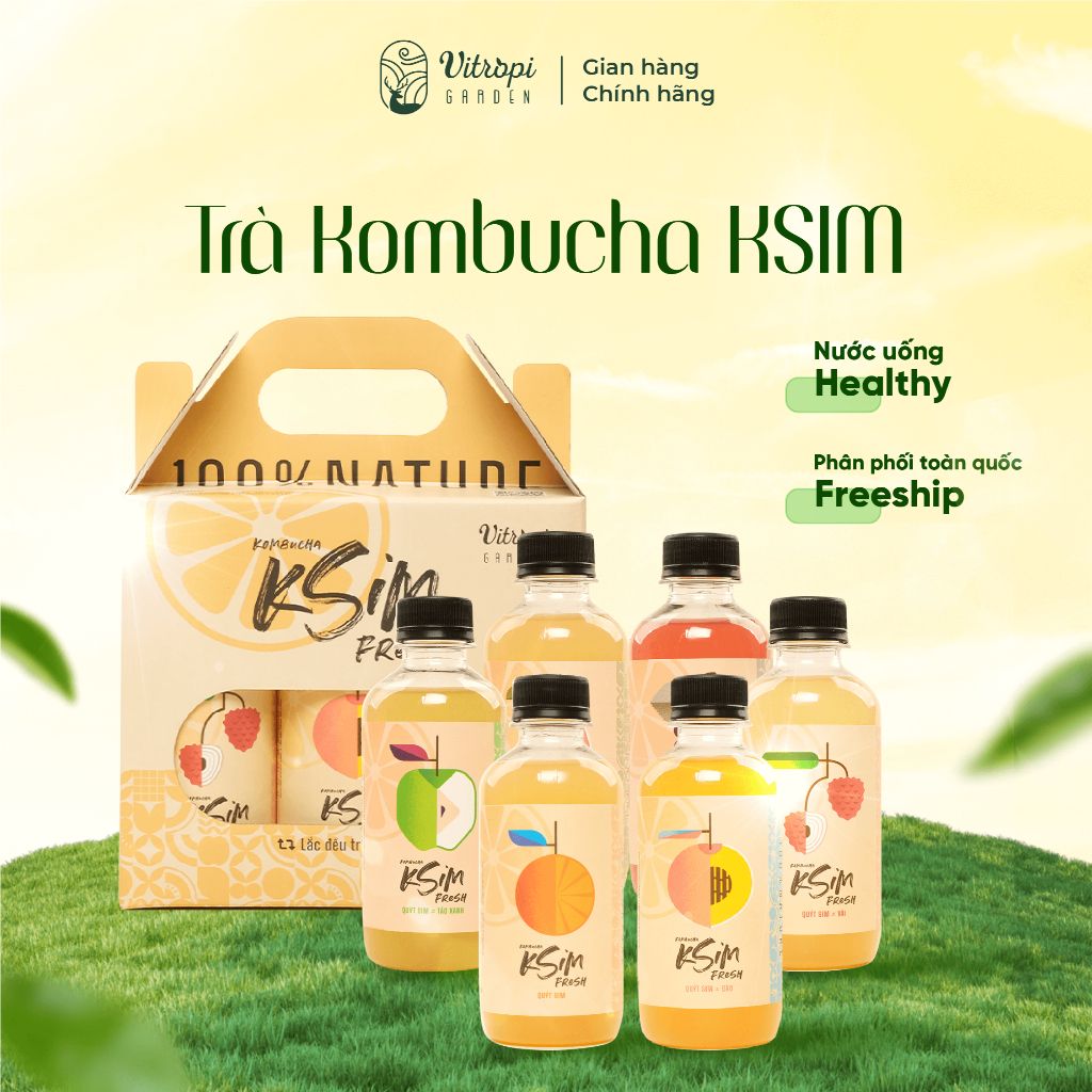 Combo 6 chai trà Kombucha KSIM Fresh, Vị Trái Cây Tươi Nhiệt Đới, Tốt ...
