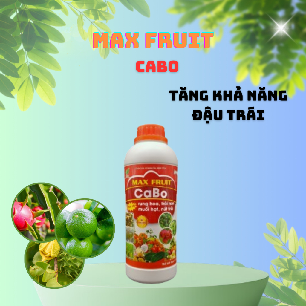 PHÂN BÓN MAX FRUIT CABO CHAI 1L | Shopee Việt Nam