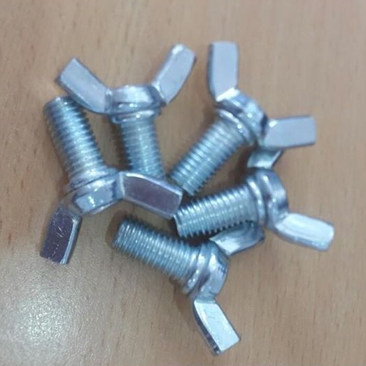 BULONG CHUỒN - BULONG TAI VẶN - BULONG TAI HỒNG | Shopee Việt Nam