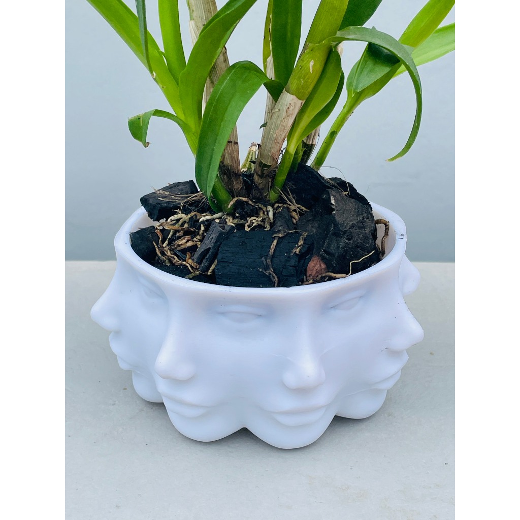 Chậu nhựa trồng cây để bàn độc lạ - đa diện - Poly Face Planter - 3D ...