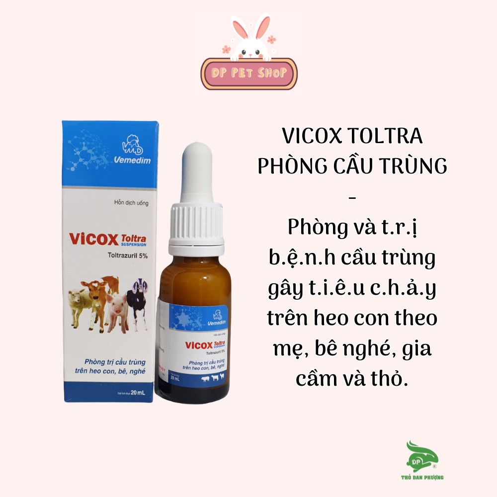 Vicox cầu trùng - Dung dịch uống chống cầu trùng dành cho Thỏ | Shopee ...