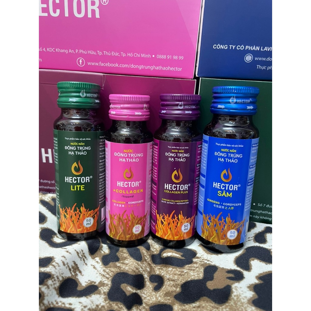 (Full) 01 Hộp Đông Trùng Hạ Thảo Hector SÂM/ COLLAGEN/ COLLAGEN PLUS ...