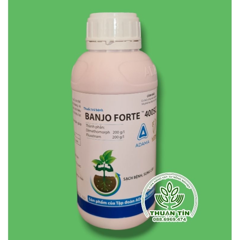 BANJO FORTE 250ml | Shopee Việt Nam