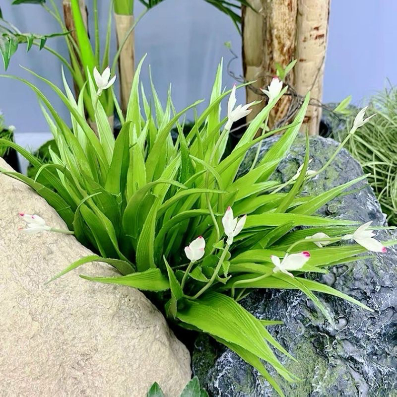 Cây giả- cây Lan Leo 3 hoa điểm,decor ,trang trí | Shopee Việt Nam