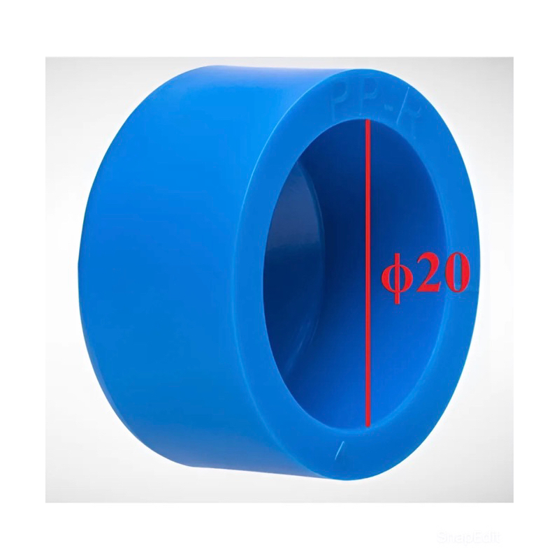 Nút bịt đầu ống nước PPR phi 25. Nút bít ống nước nóng PPR | Shopee Việt Nam